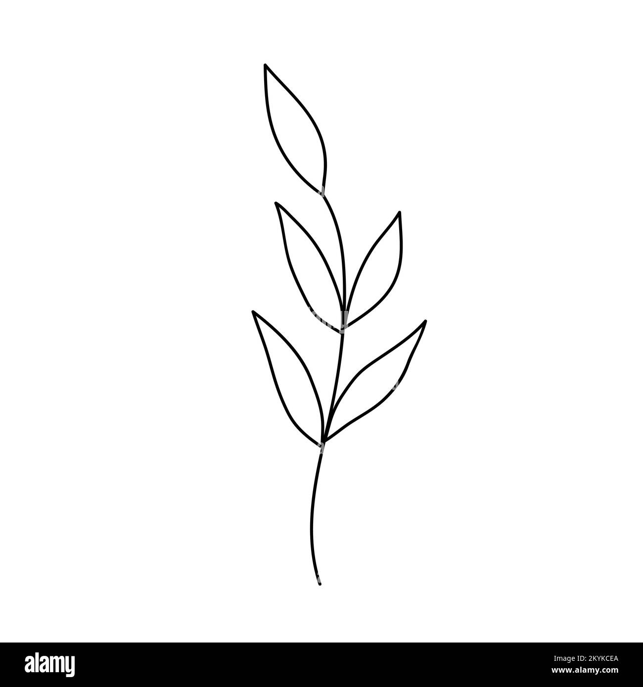 Cute twig with leaves isolated on white background. Vector hand-drawn ...