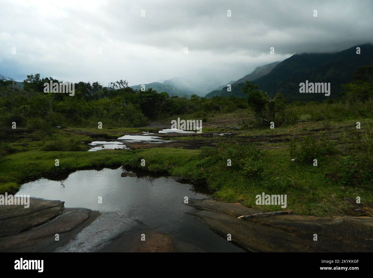 Wet pathana hi-res stock photography and images - Alamy