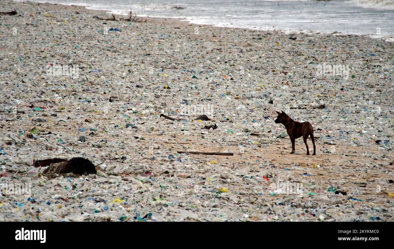 Plastic pollution and garbage from the Indian Ocean collects on the ...