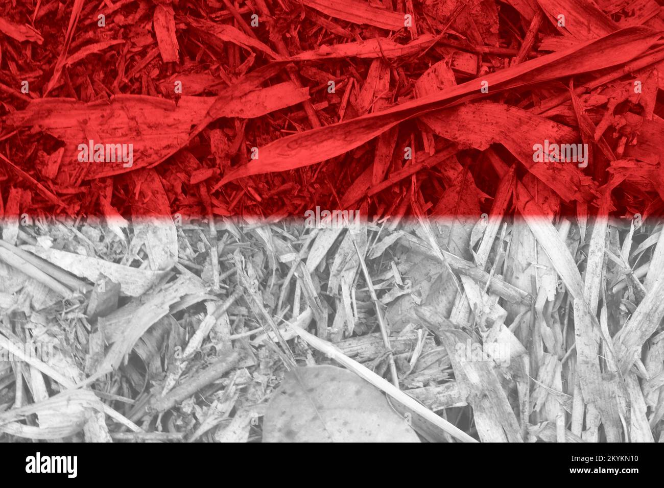 indonesian flag texture as background Stock Photo - Alamy
