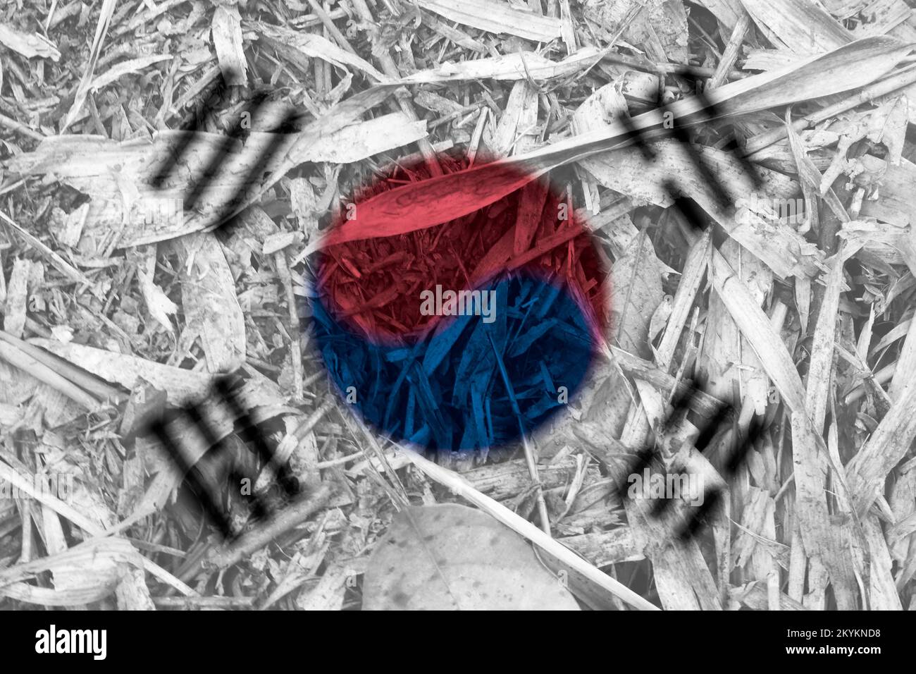 korean flag texture as background Stock Photo - Alamy