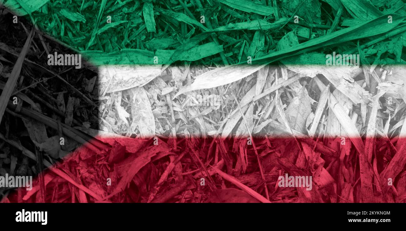 kuwait flag texture as background Stock Photo - Alamy