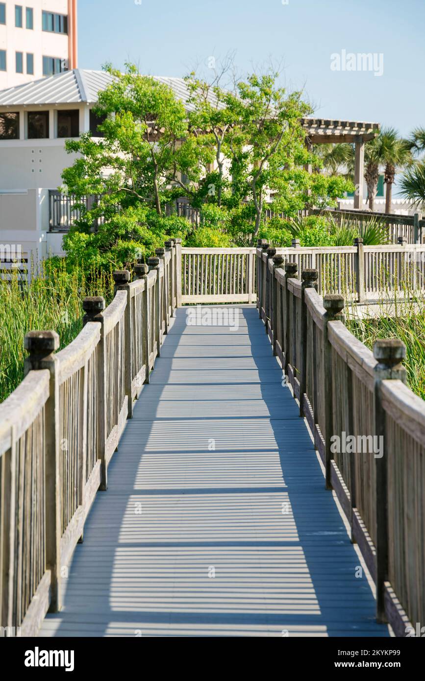 Destin, Florida- Boardwalk with wooden railings over the tall grass ...