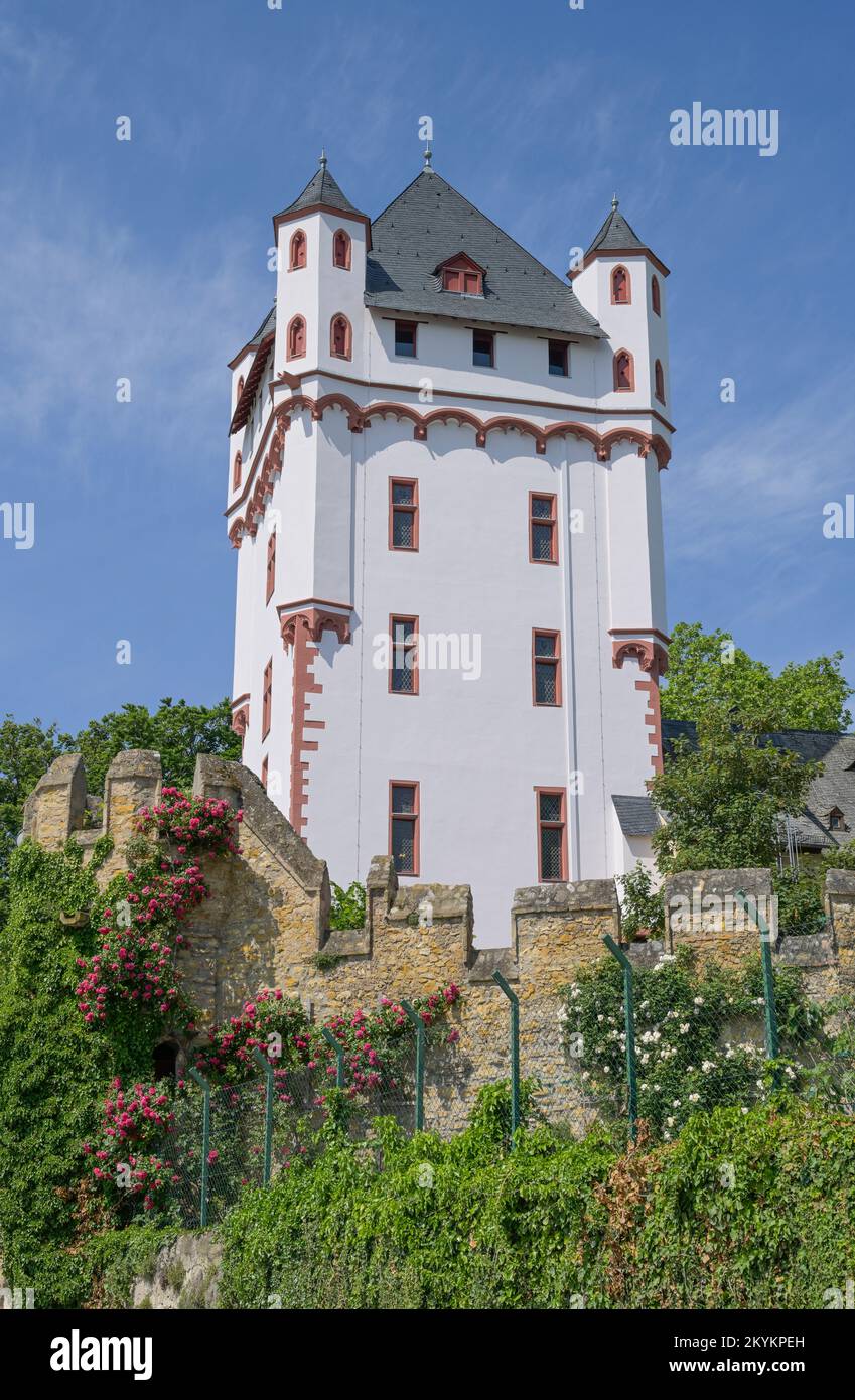 Wehrturm, Kurfürstliche Burg, Eltville, Hessen, Deutschland Stock Photo ...