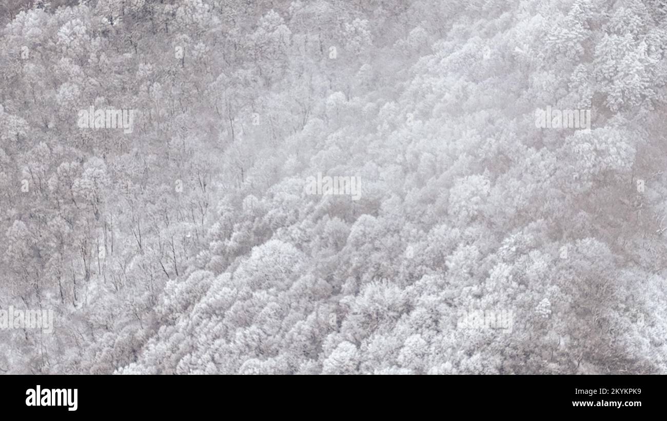 Aerial photo shows the snow scenery near the drainage divide of Qinling ...