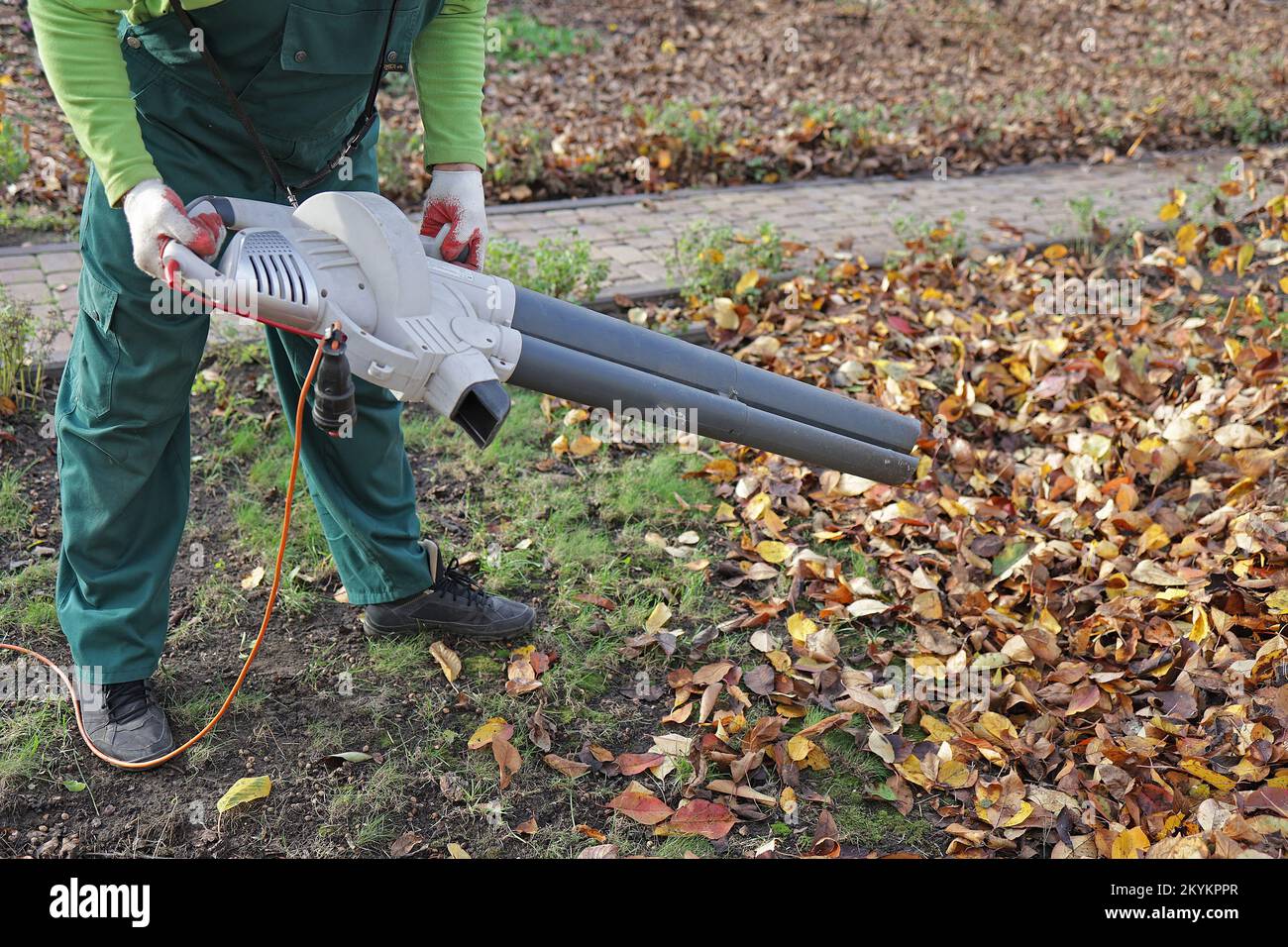 Garden vacuum hi-res stock photography and images - Alamy
