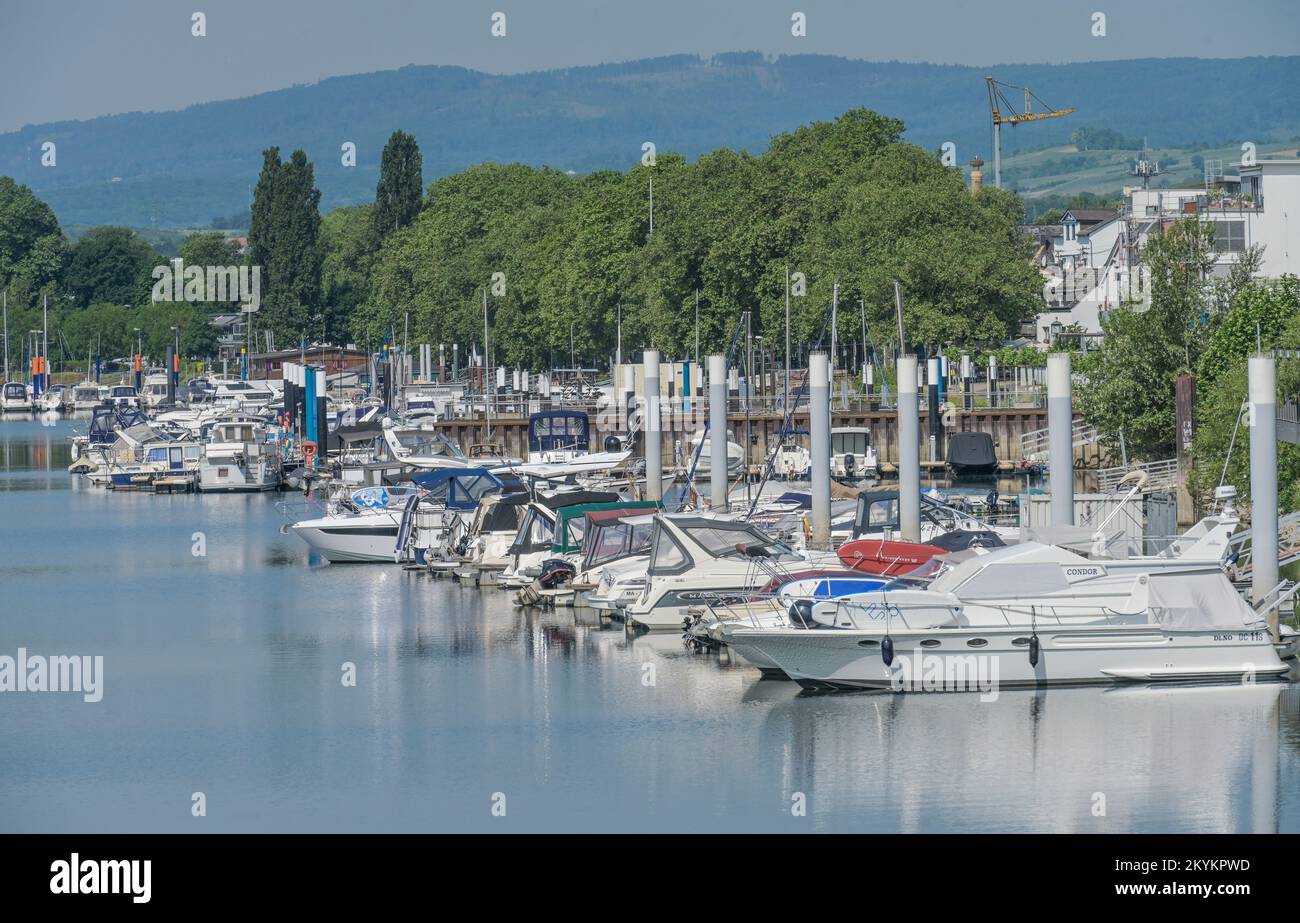 Marina, Boote, Hafen, Schierstein, Wiesbaden, Hessen, Deutschland Stock ...
