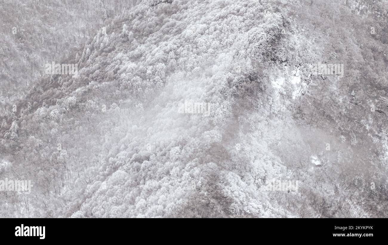 Aerial photo shows the snow scenery near the drainage divide of Qinling ...