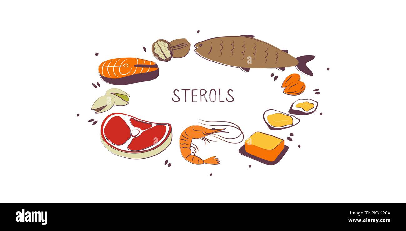 Sterols-containing food. Groups of healthy products containing vitamins ...