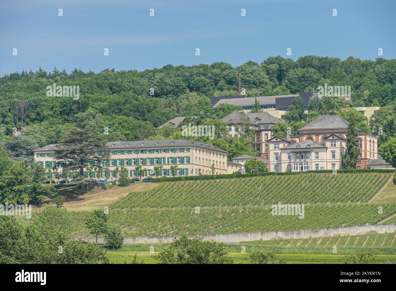 Vitos Klinik Eichberg, Eltville, Hessen, Deutschland Stock Photo - Alamy