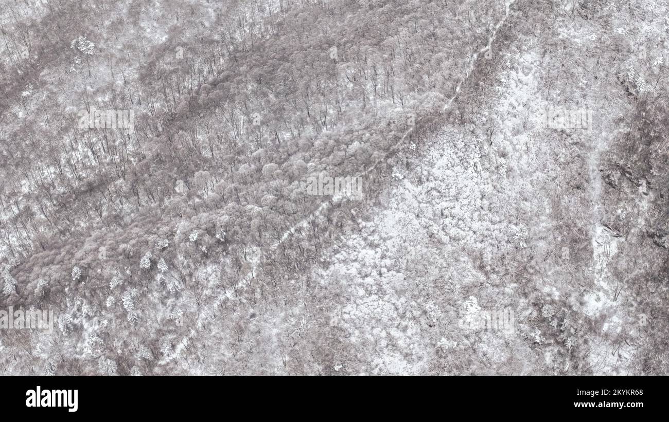 Aerial photo shows the snow scenery near the drainage divide of Qinling ...