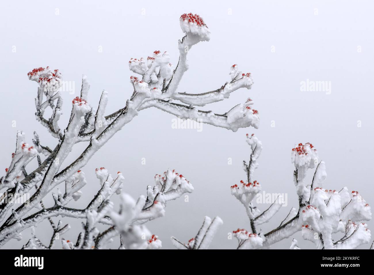 The first snow scene of this winter in Huangshan Scenic Area in ...