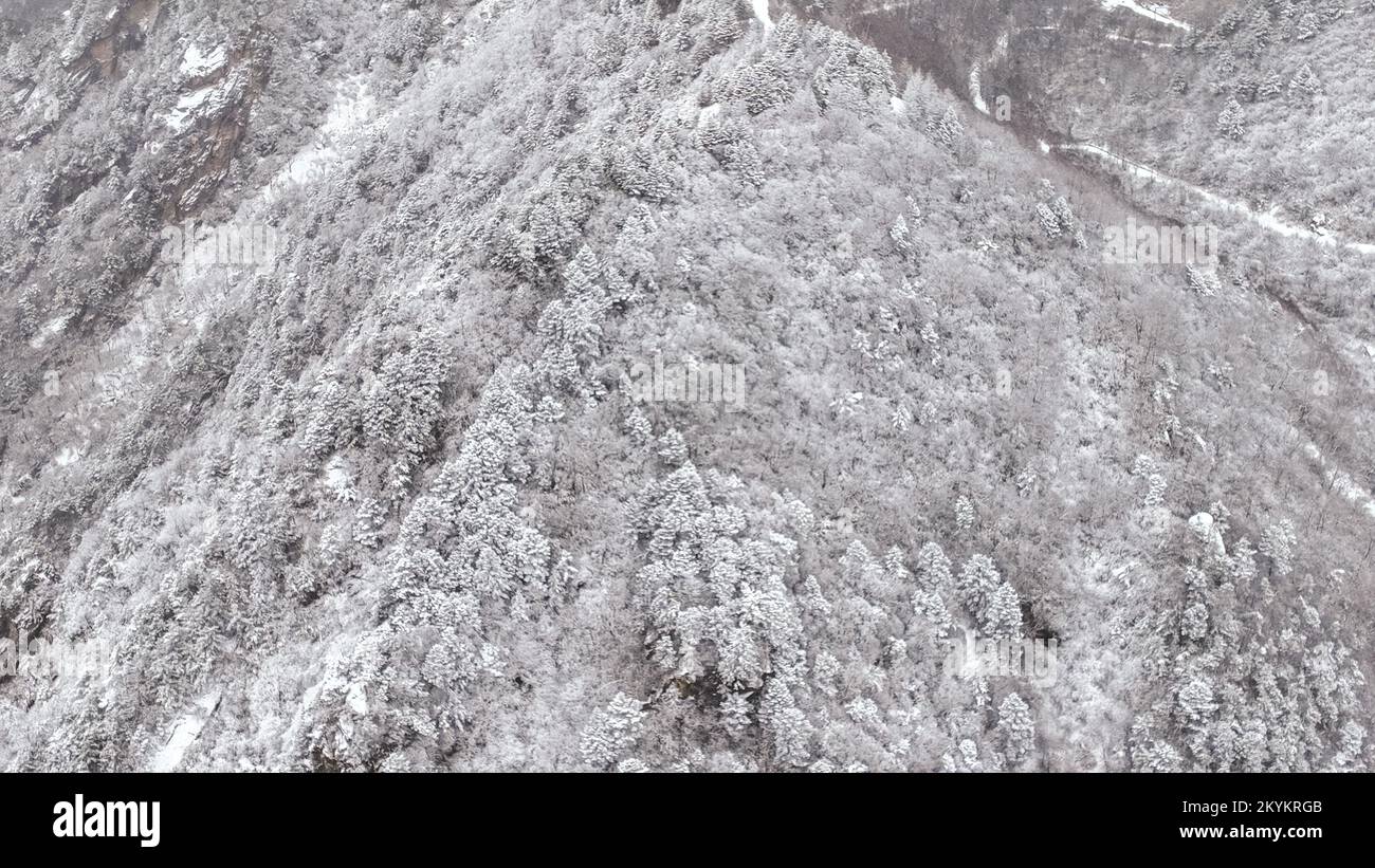 Aerial photo shows the snow scenery near the drainage divide of Qinling ...