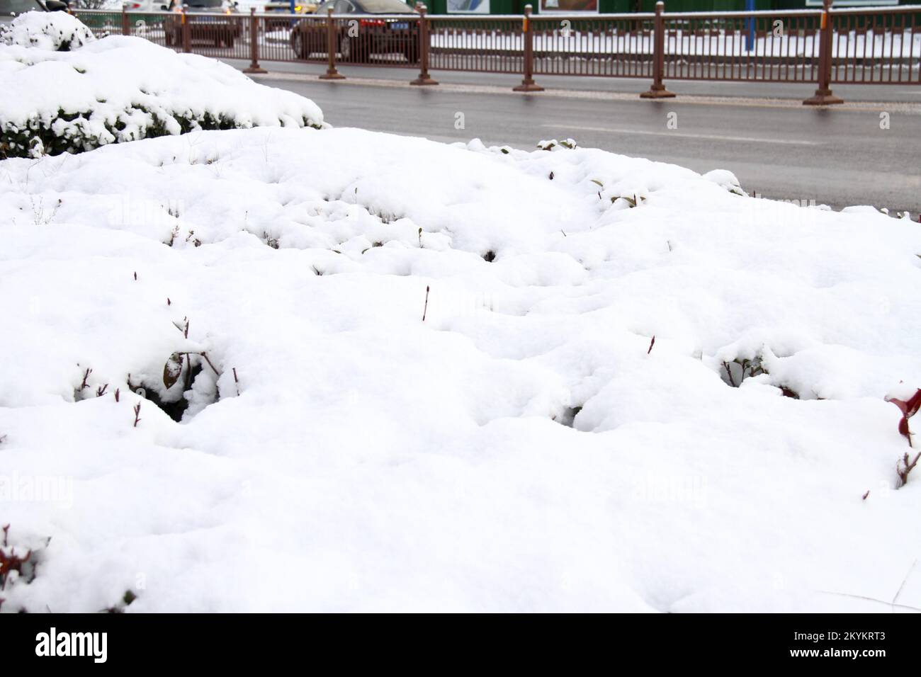 Continuous snowfall in Weihai City, east China's Shandong Province, 1 ...