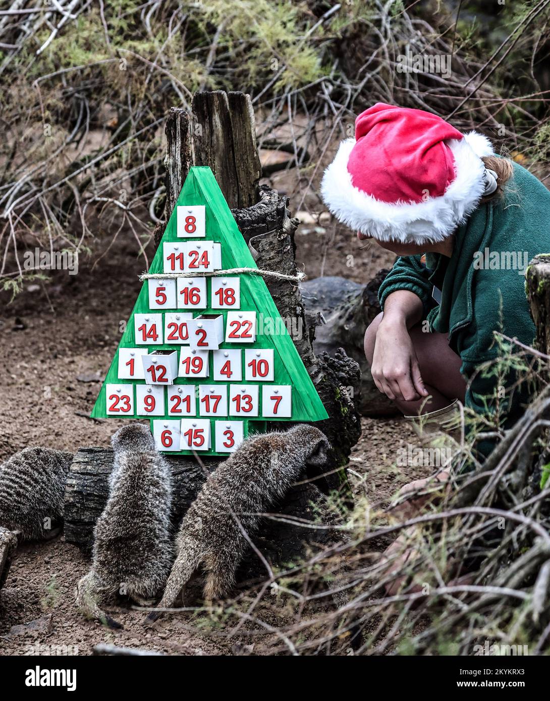 Enrichment items hi-res stock photography and images - Alamy