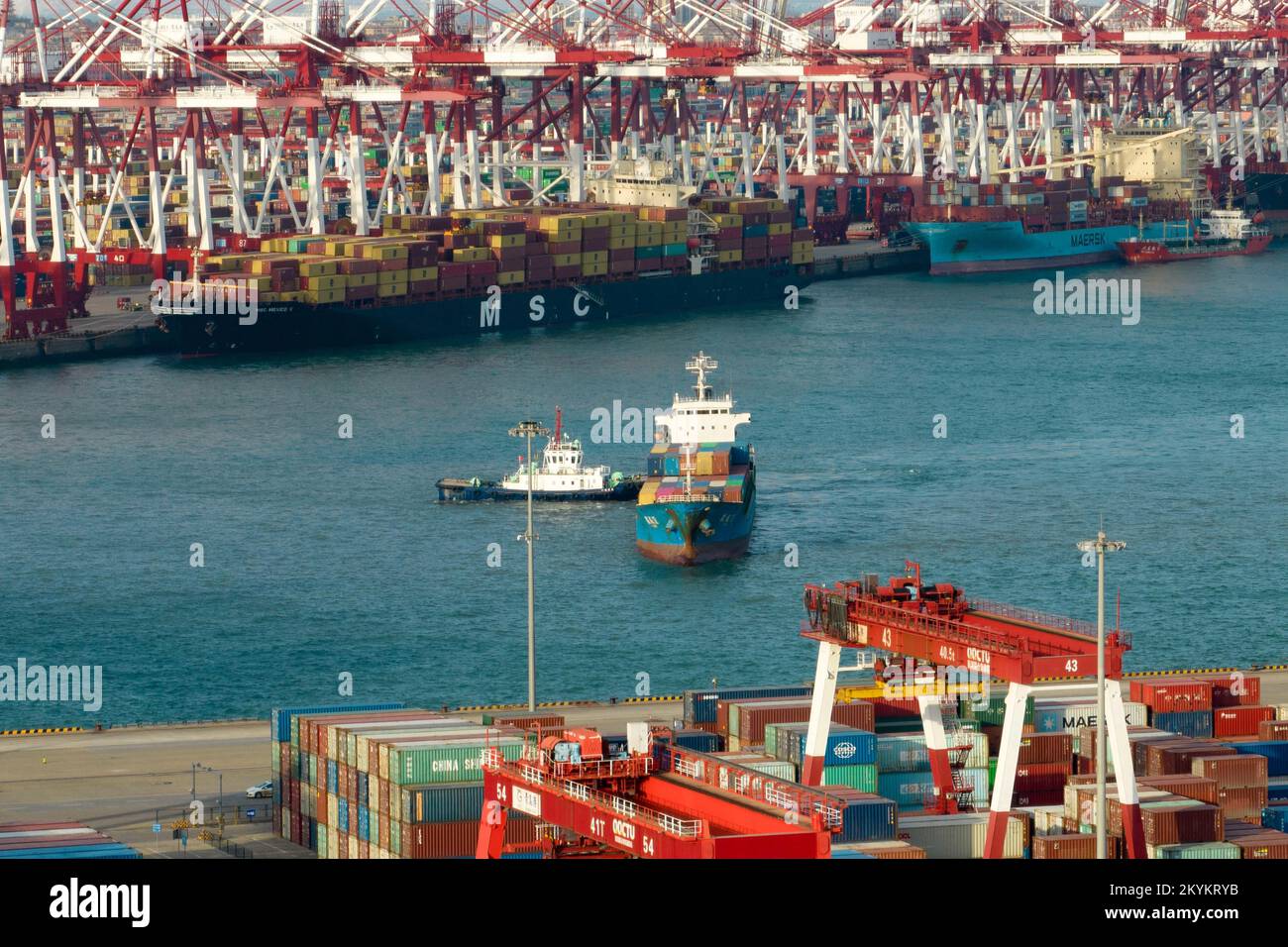 Aerial photo shows the busy working scene of Qianwan Container Terminal ...