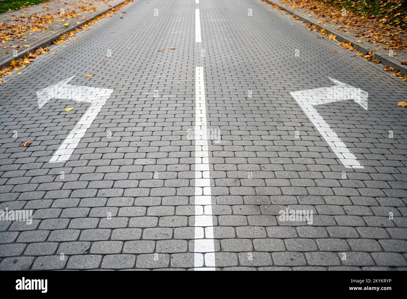 direction arrows on paved road at intersection, choice concept, go left ...