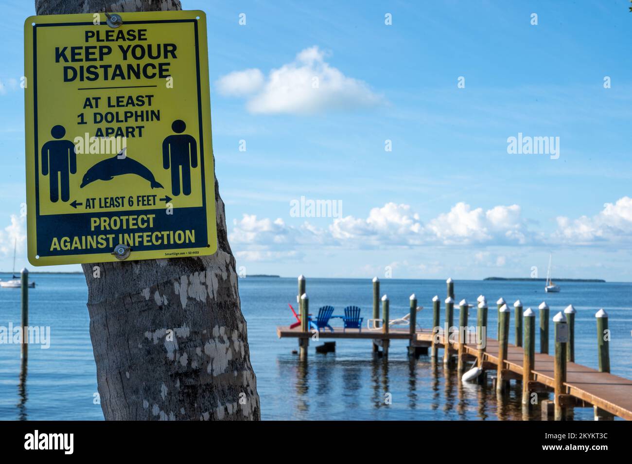 Dolphin key largo hi-res stock photography and images - Alamy