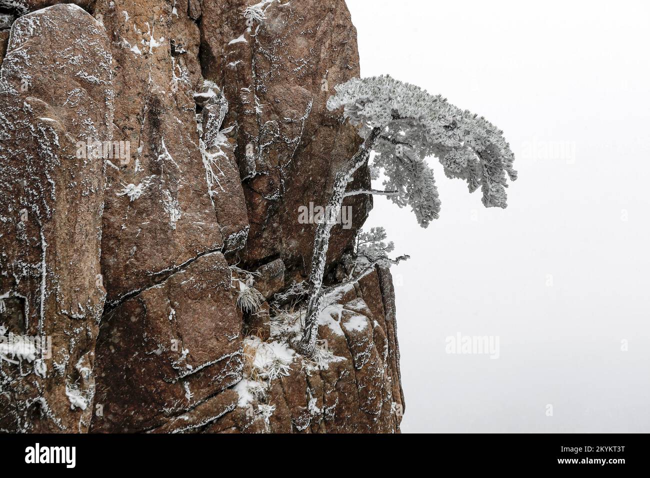 The first snow scene of this winter in Huangshan Scenic Area in ...