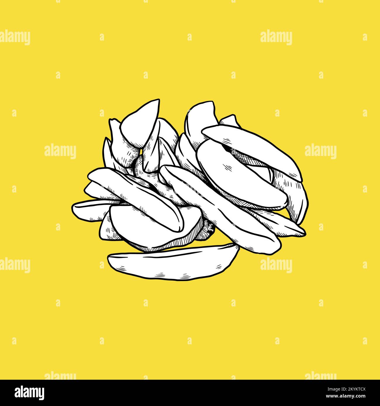 Potato slices isolated on background. - Vector. Vector illustration ...