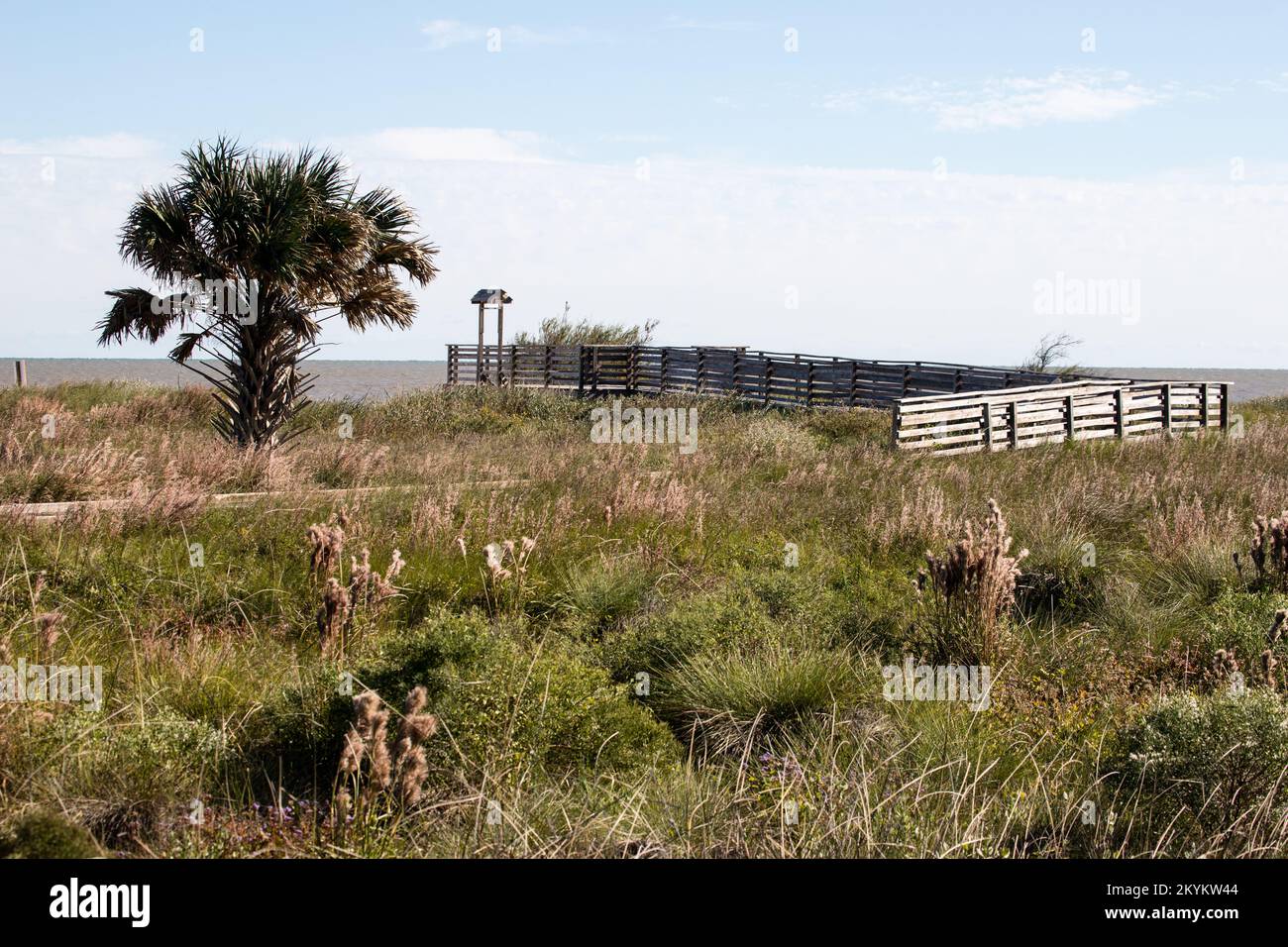 Scenes from Galveston on the Texas Gulf Coast Stock Photo - Alamy