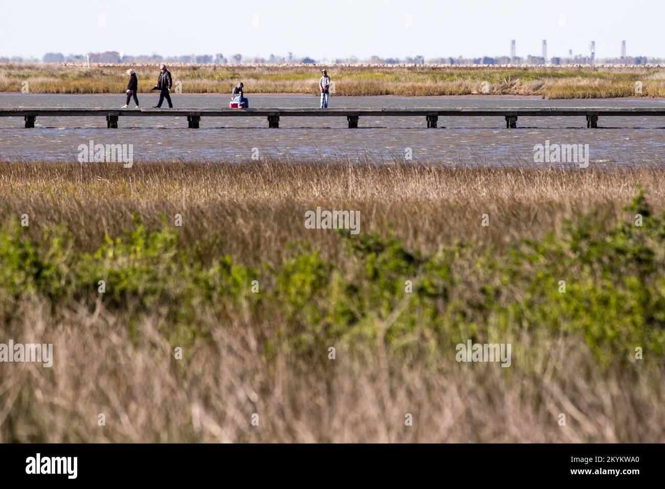 Scenes from Galveston on the Texas Gulf Coast Stock Photo - Alamy