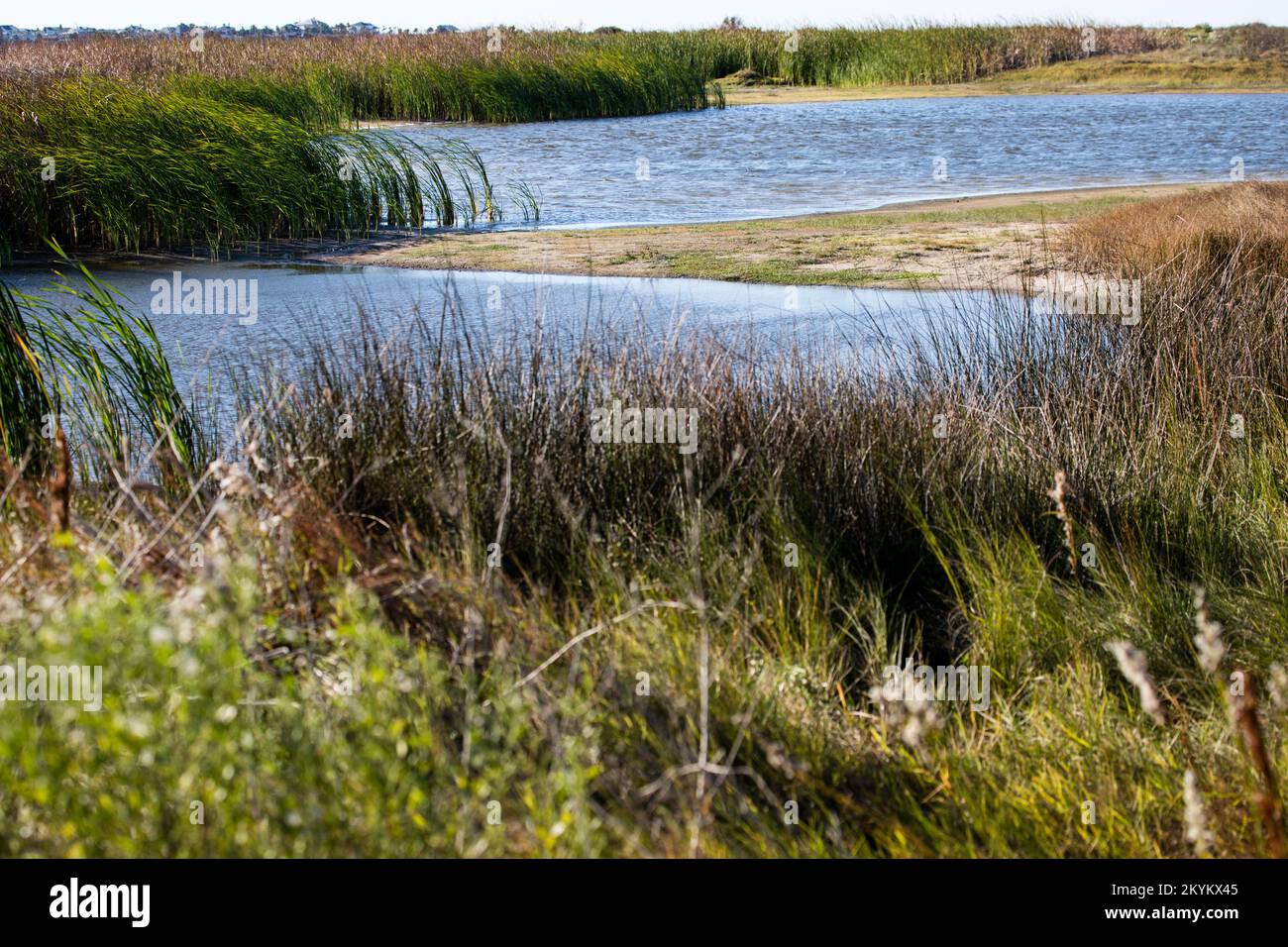 Scenes from Galveston on the Texas Gulf Coast Stock Photo - Alamy