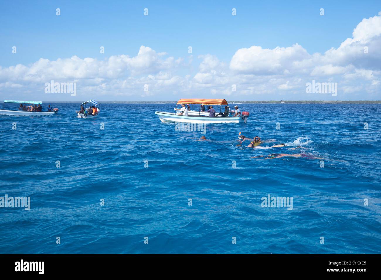 Tourists on dolphin sight seeing boat tours chase dolphins in the water ...
