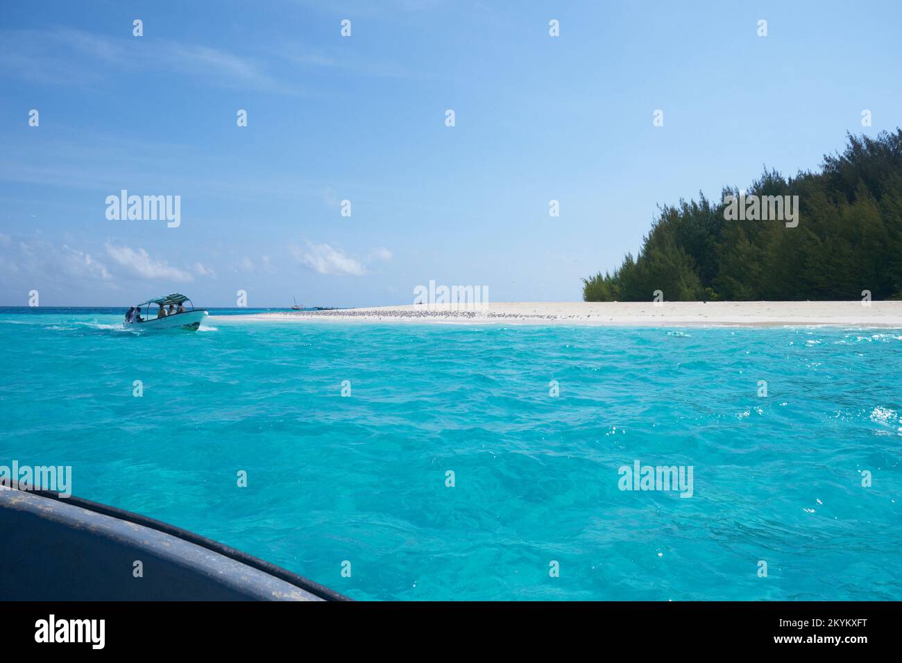 A boat passes sea birds on the beach on the the coast of Mnemba Atoll ...