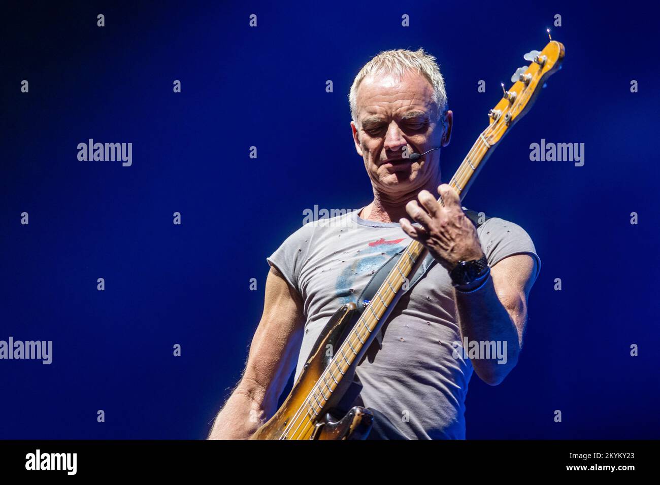 Sting, real name Gordon Sumner, live performance on stage. Bass player ...