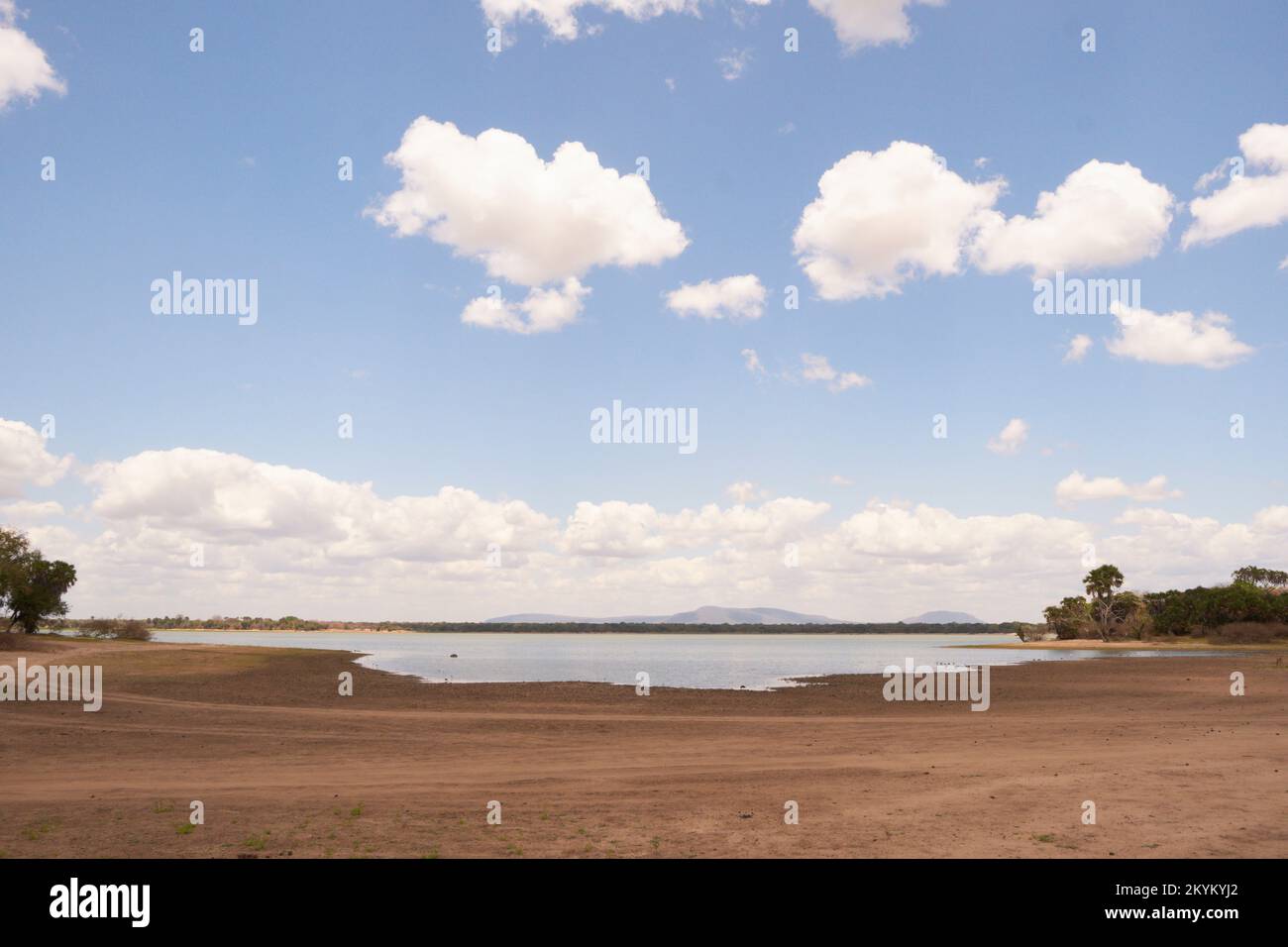 Watering hole animals hi-res stock photography and images - Alamy