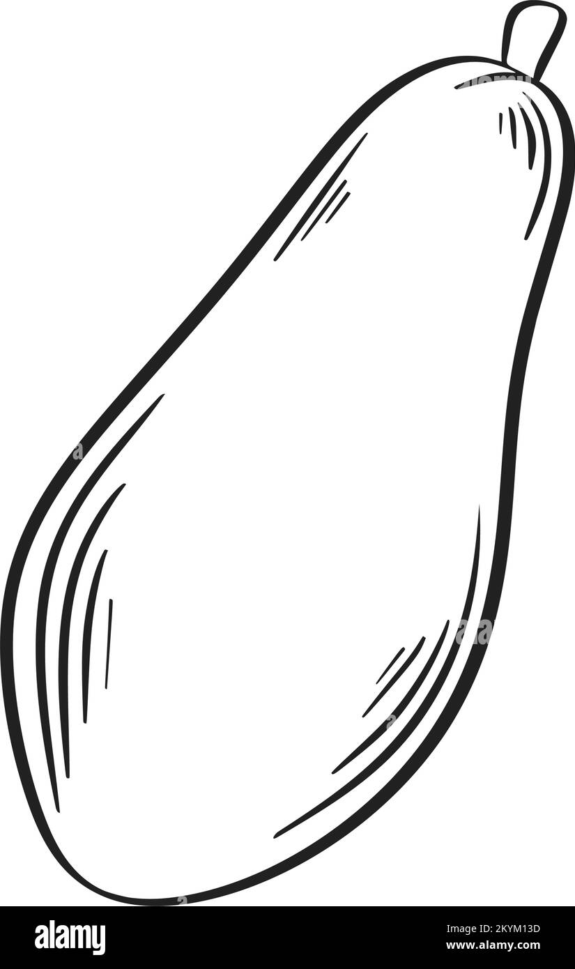 Papaya simple outline ink sketch Stock Vector Image & Art - Alamy