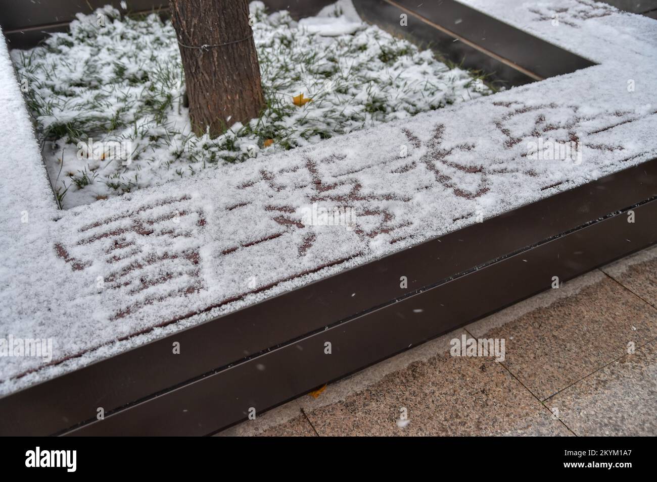 The snow views of the Dayan Pagoda in Xi'an City, northwest China's ...