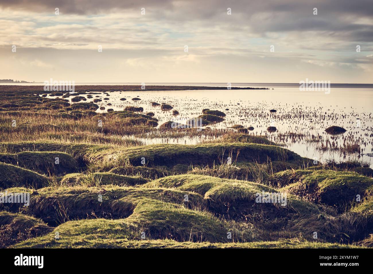 The coastline of Morecambe Bay on the Lancashire coast Stock Photo - Alamy