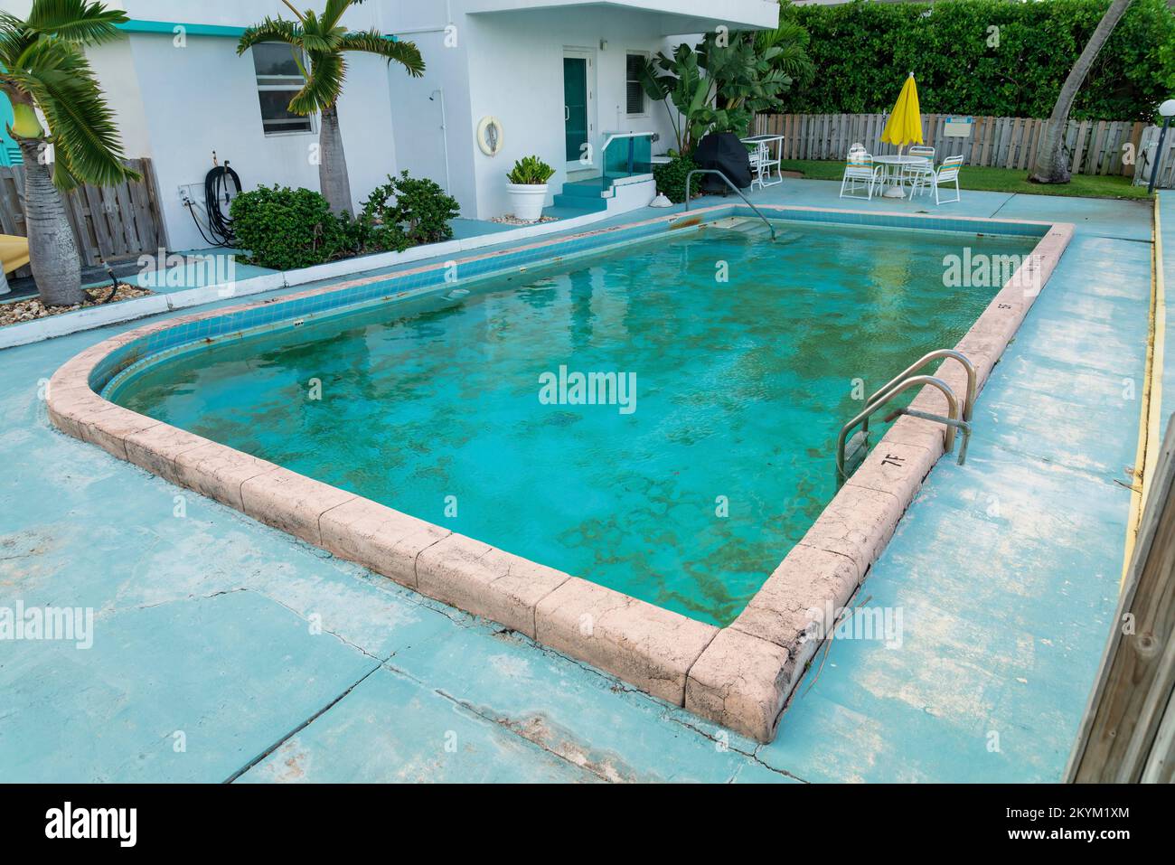 Dirty outdoor private pool with algae near the plants and trees outside ...