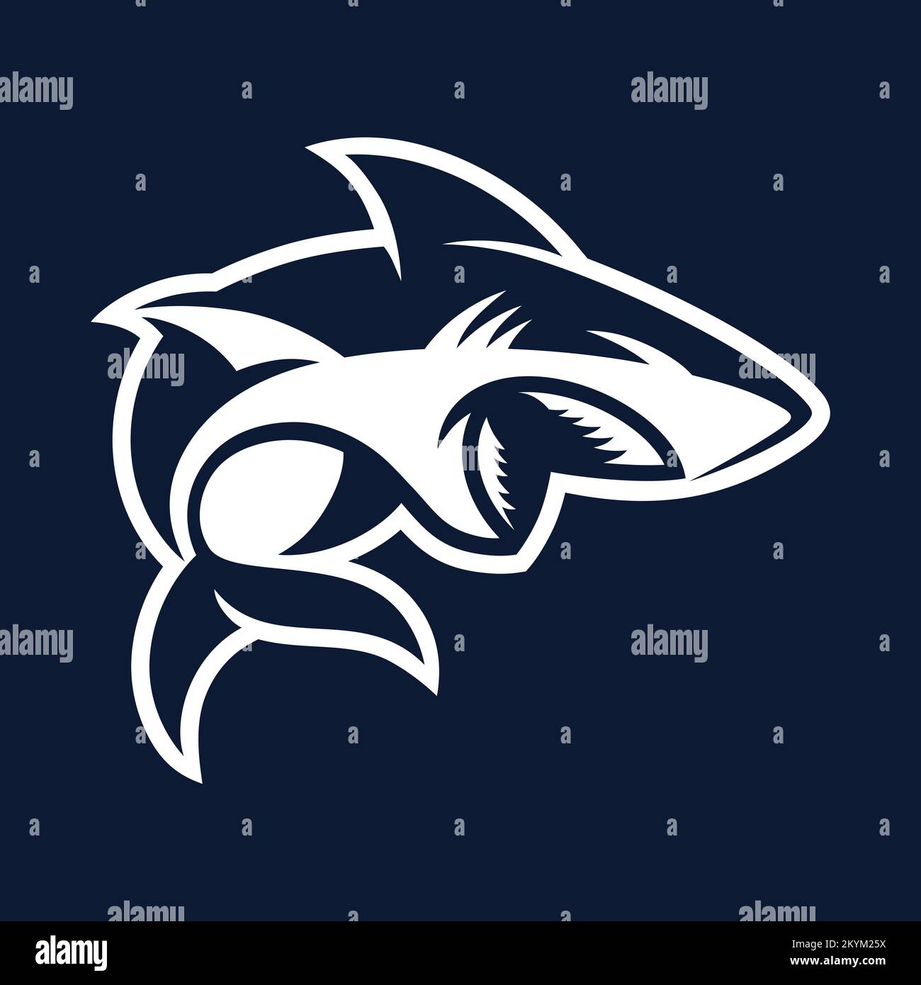 Modern simple white shark logo Stock Vector Image & Art - Alamy