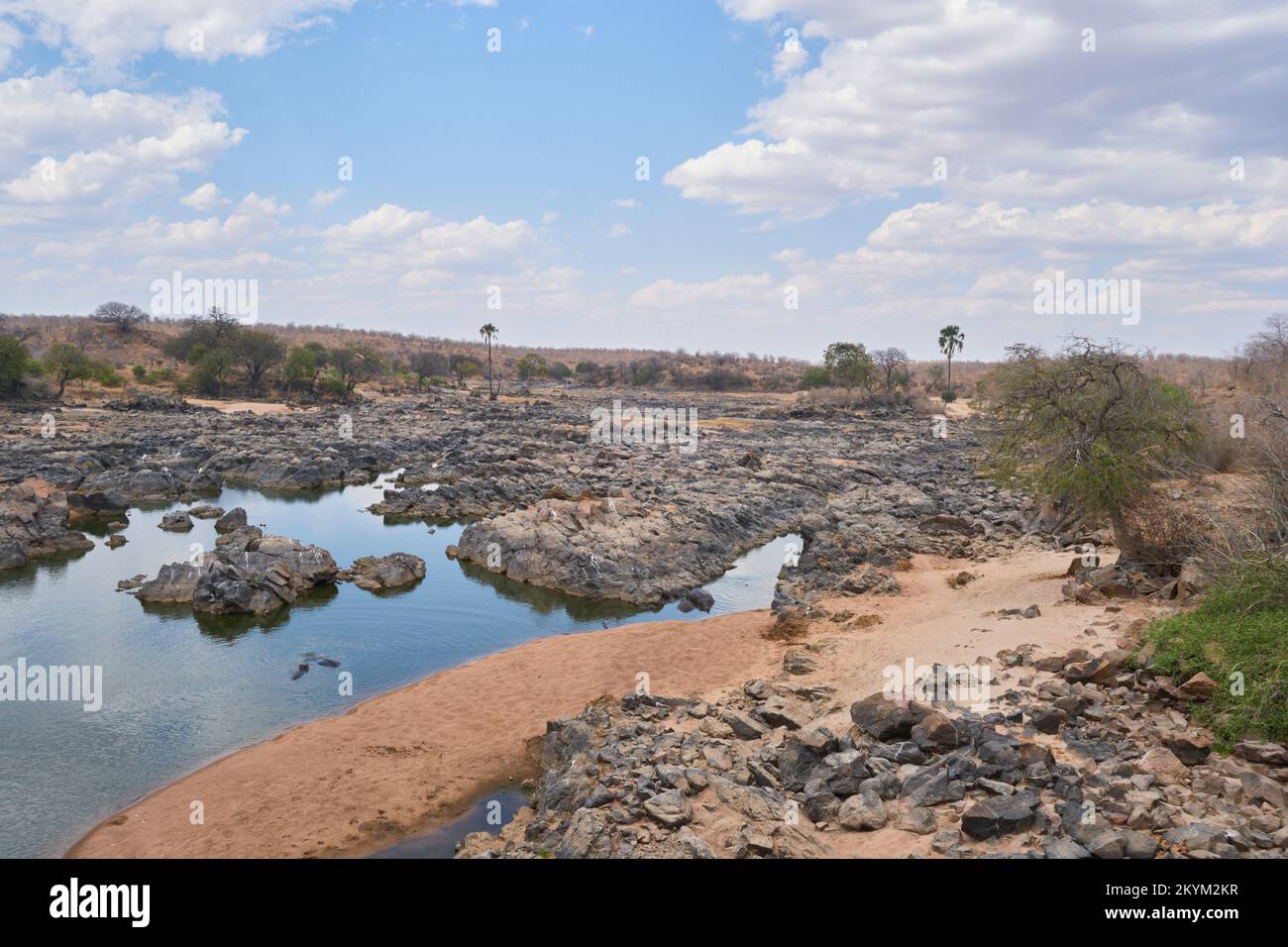 A Dry Ruaha river tributary riverbed runs empty in Ruaha national park ...