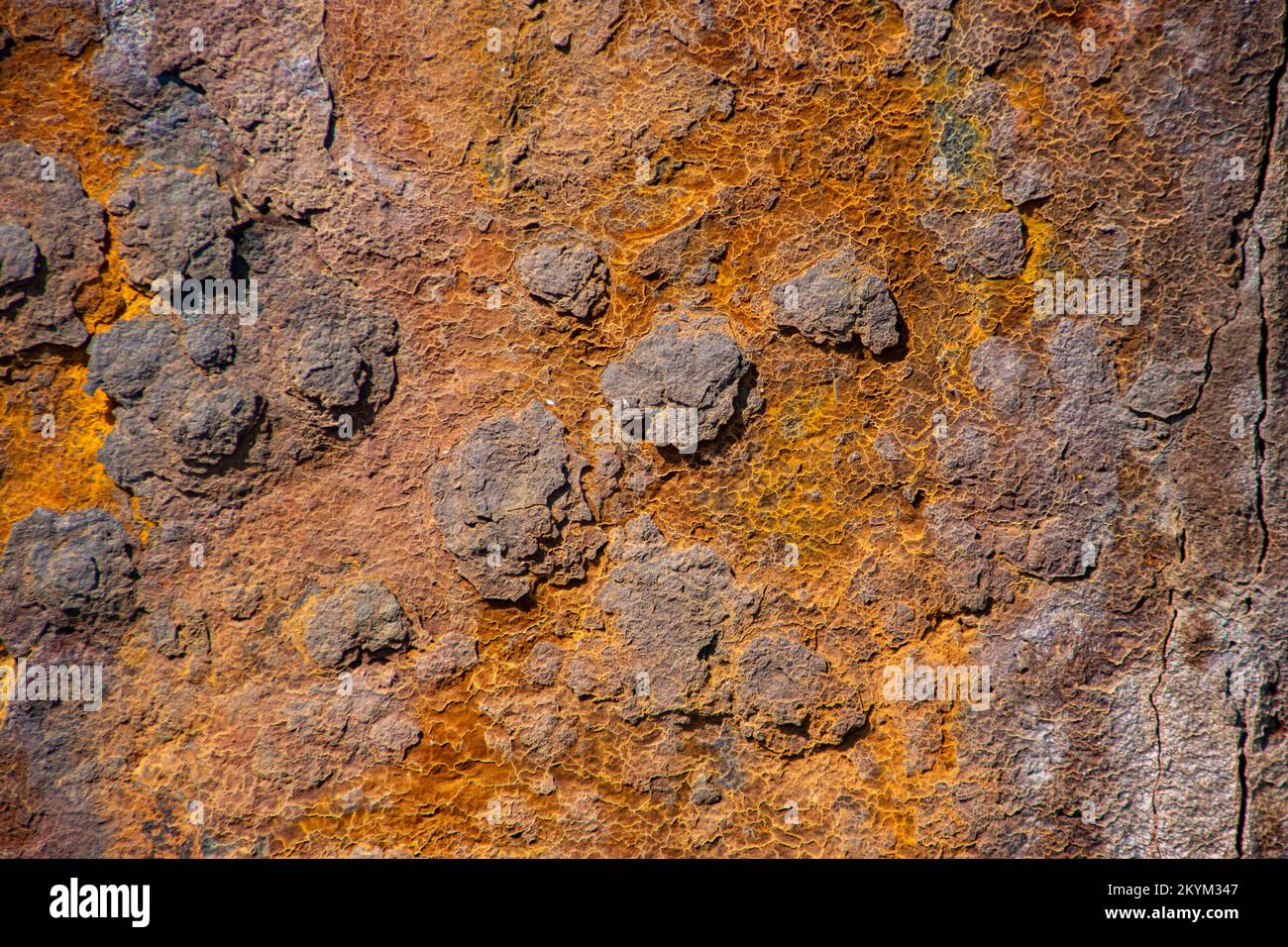 Rough texture surface hi-res stock photography and images - Alamy