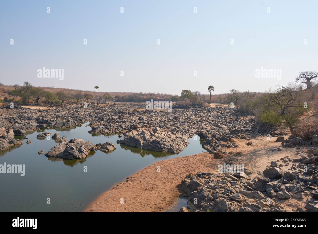 A Dry Ruaha river tributary riverbed runs empty in Ruaha national park ...
