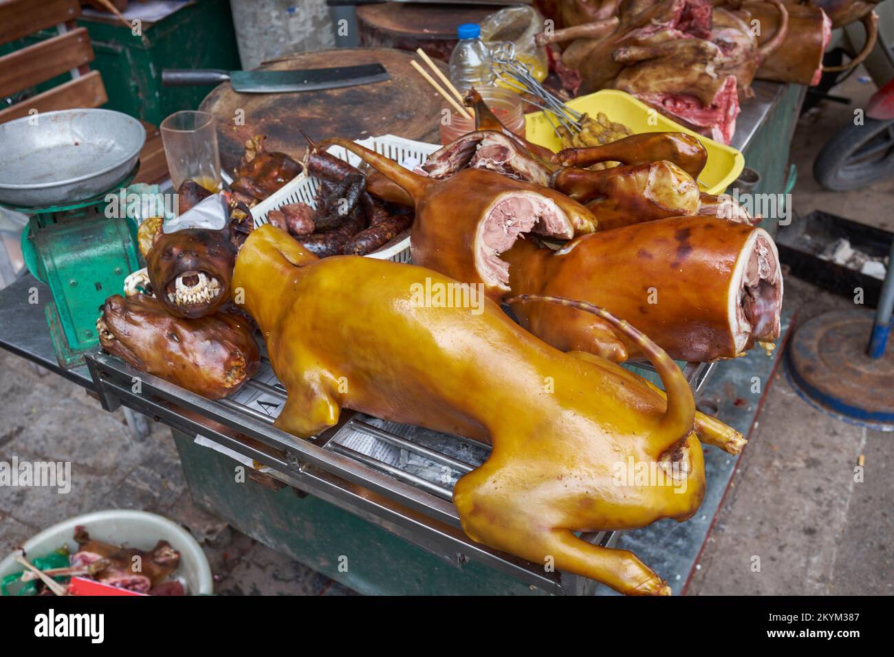 Dog food on sale at a restaurant Hanoi Vietnam - An example of the ...