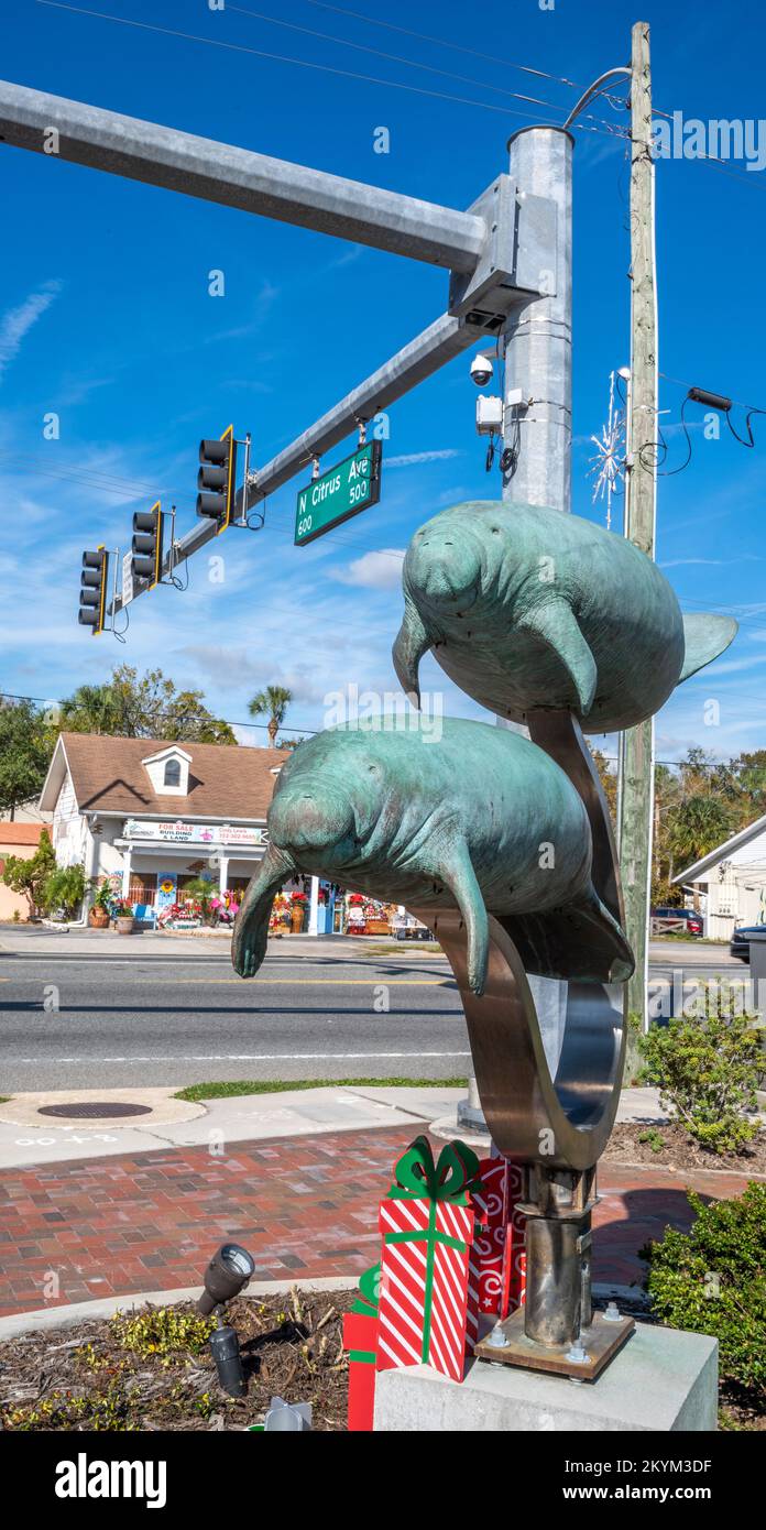 Crystal River, Florida, USA Stock Photo - Alamy