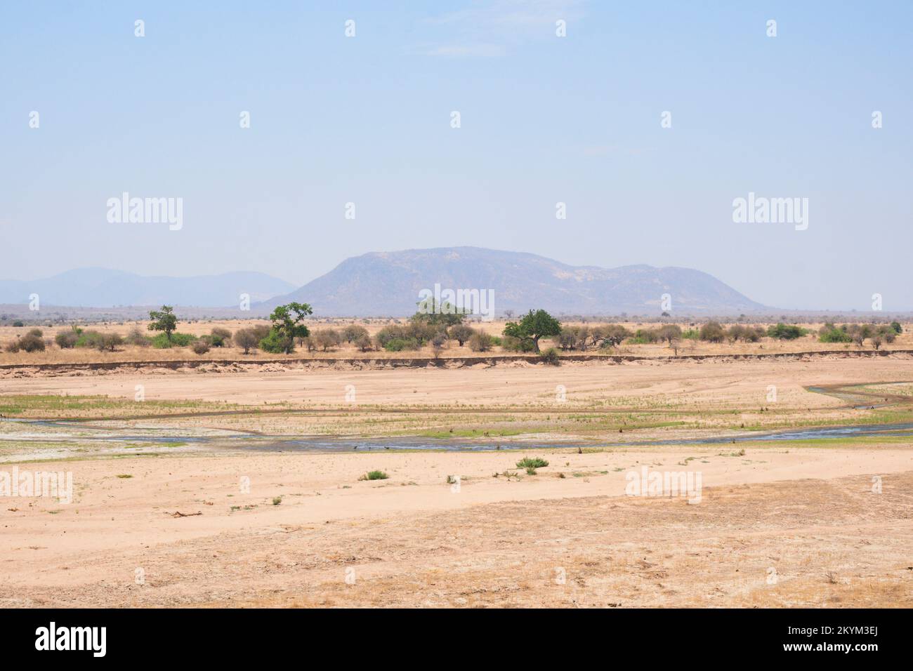 The great Ruaha river riverbed runs dry in the hot season in Ruaha ...