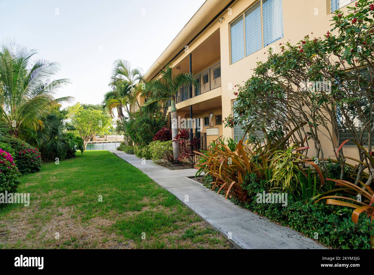 Pathway on a yard with lawn, plants, and trees outside a painted peach ...