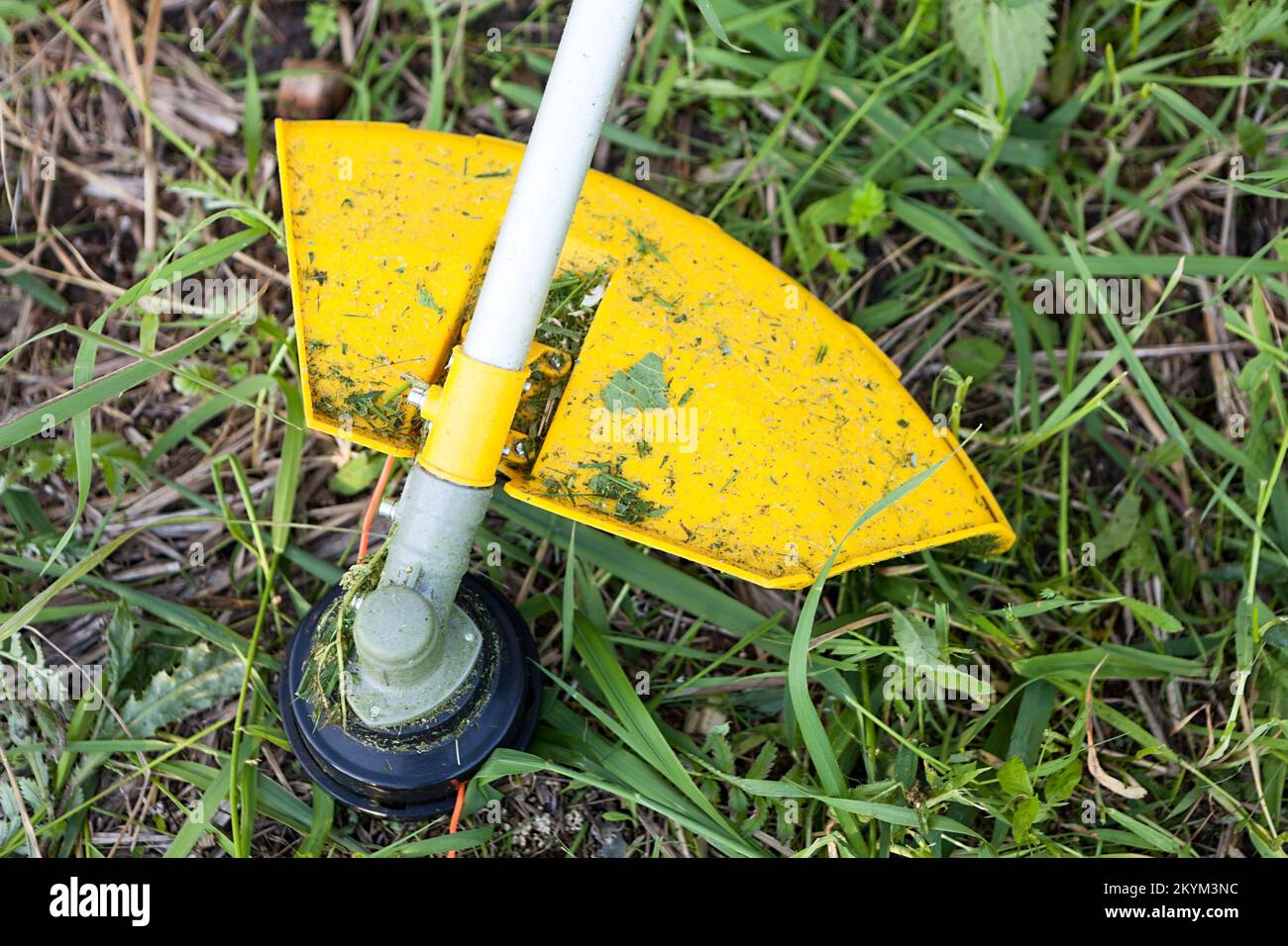 Green grass moving with hand trimmer, the end of unit with two line ...