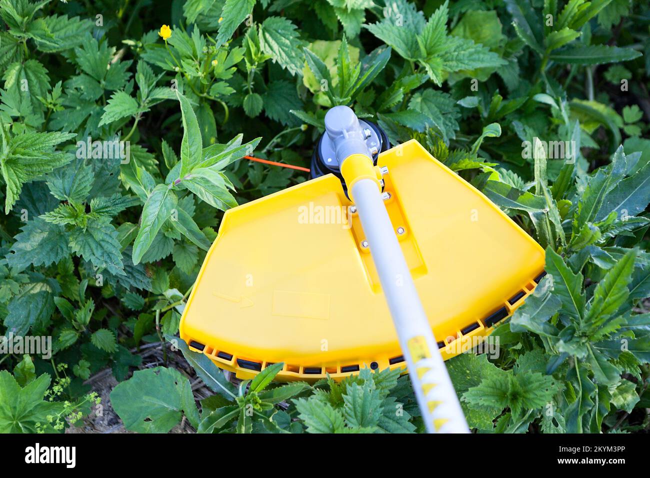 Green grass moving with hand trimmer, the end of unit with two line ...