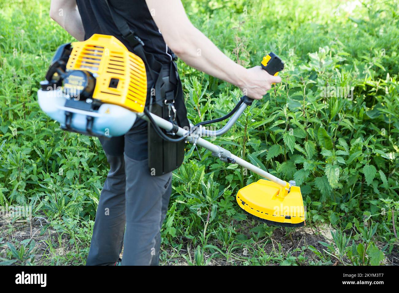 Close up man working trimmer hi-res stock photography and images - Alamy