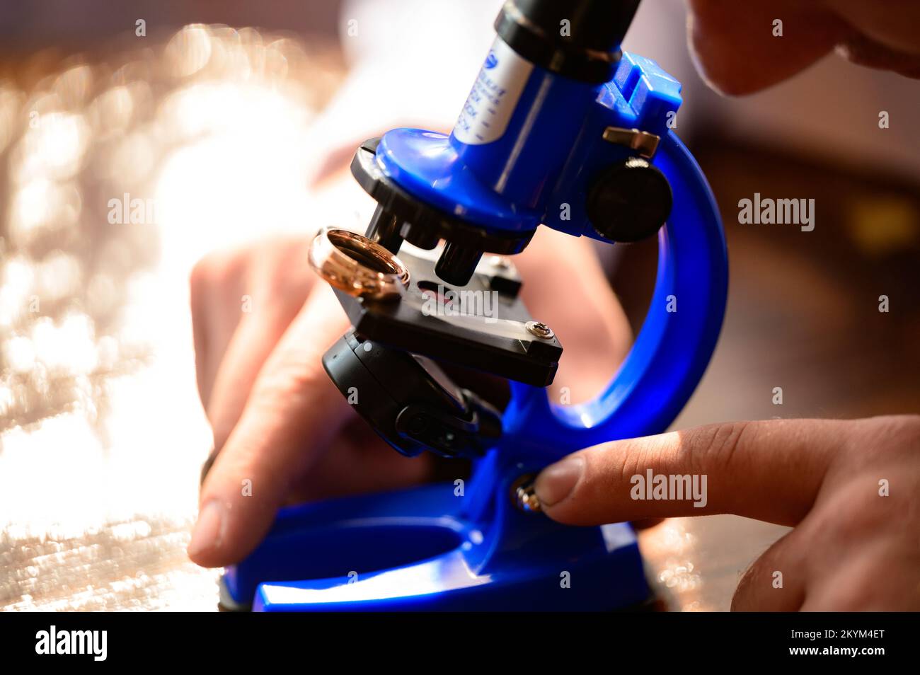 Microscope and human hands, a laboratory technician conducts research ...