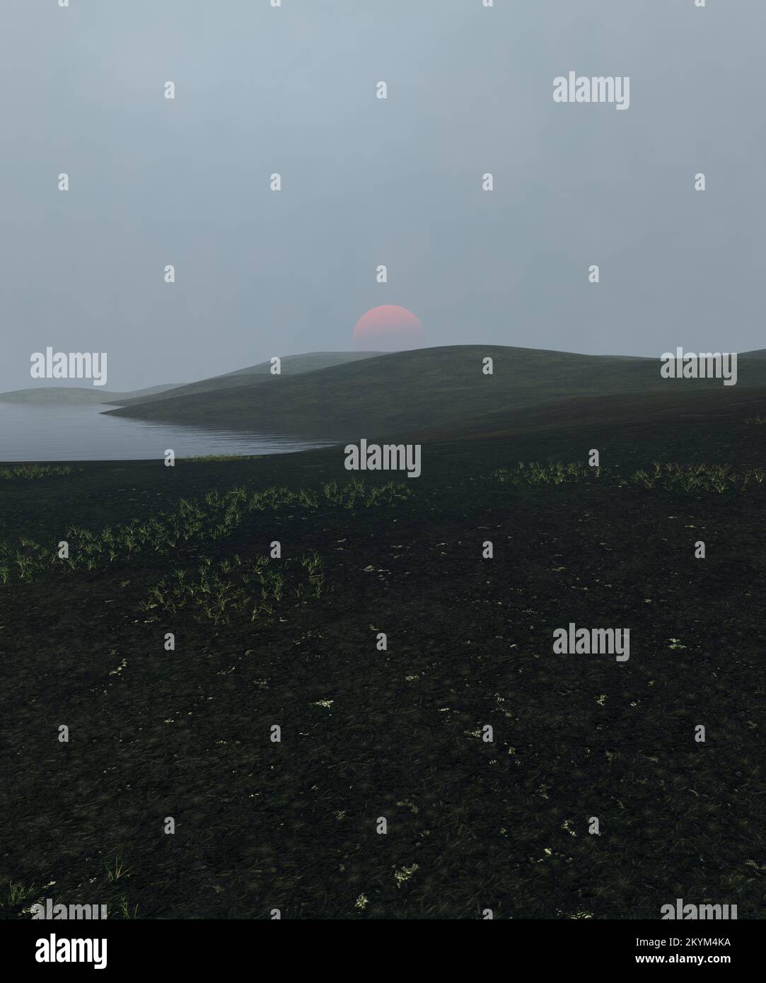 Sci-Fi surreal dreamy landscape with grass in misty swamp. Fantastic ...