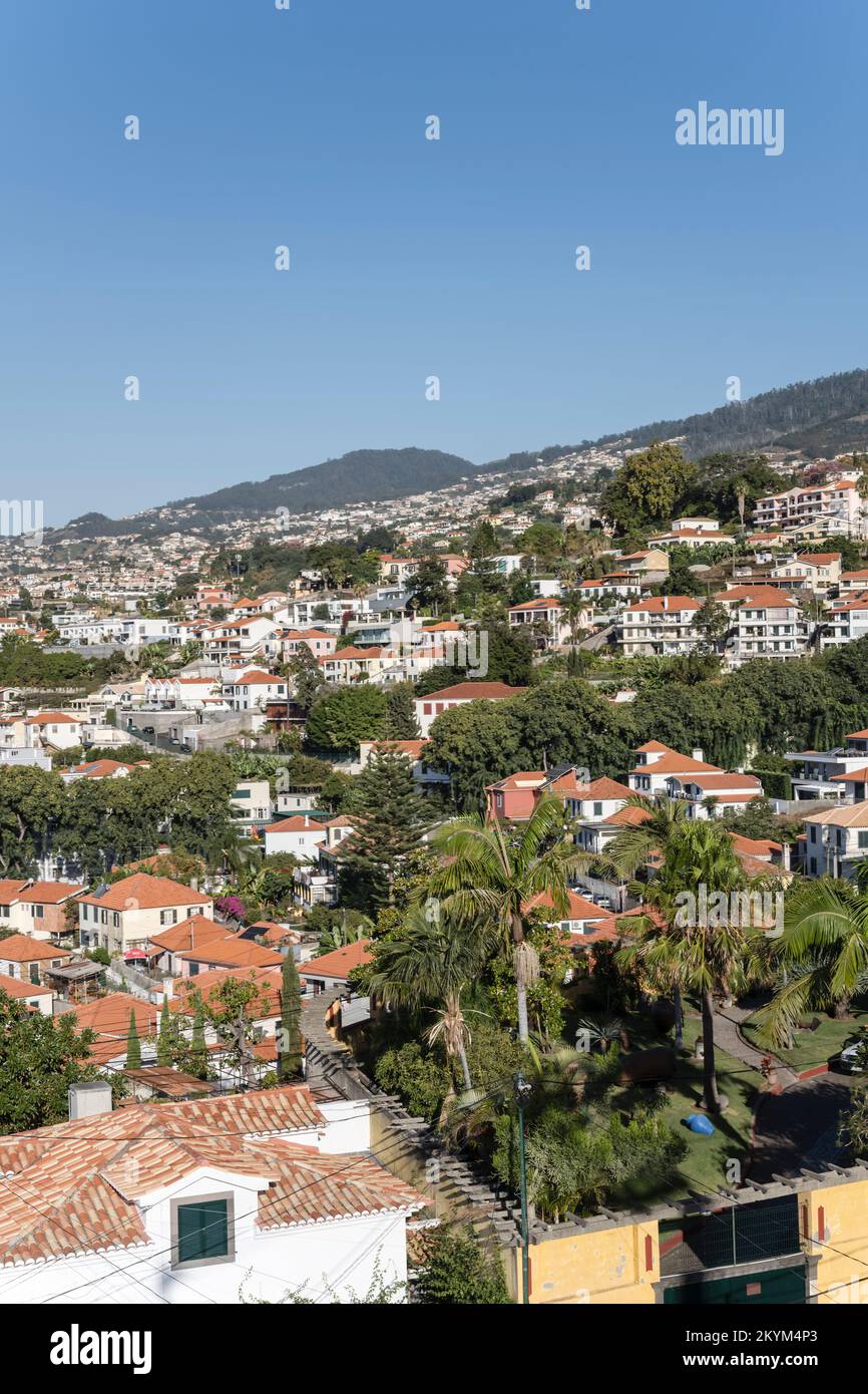 aerial cityscape of historical town with lush vegetation among houses ...