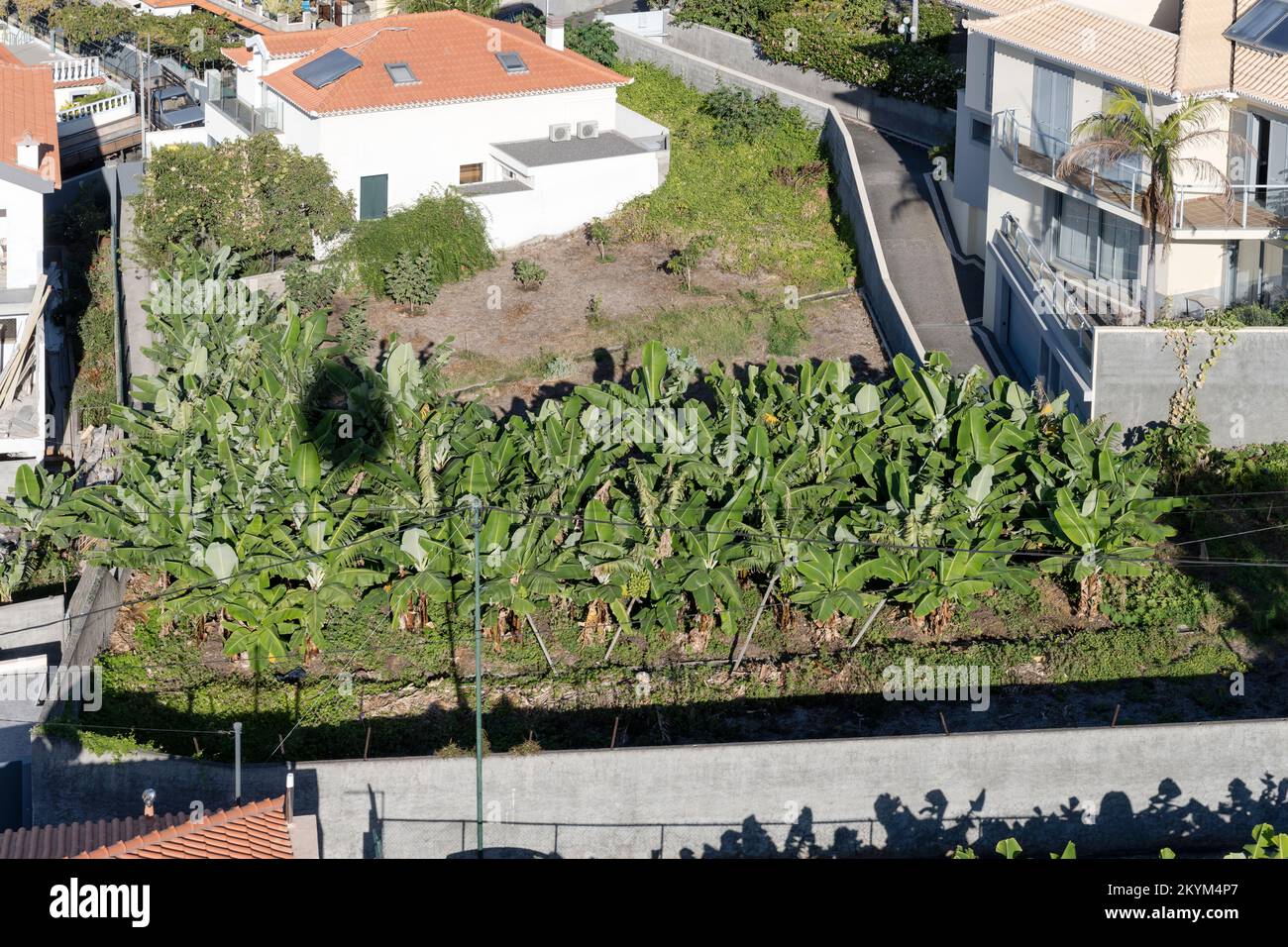 aerial cityscape of historical town with small banana plantation among houses on hills, shot in ...